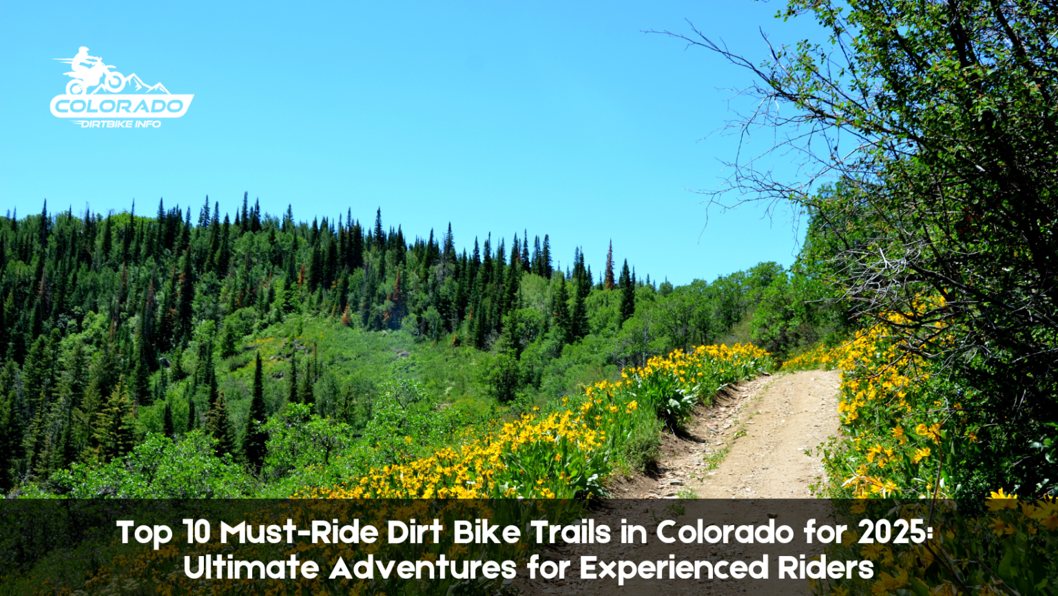 10 Colorado Must-Ride Trails for 2025 | Dirt Bike Rental Denver